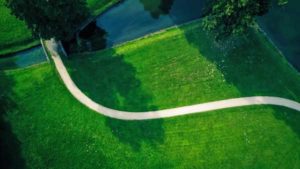 Complete Guide to Mow Strips